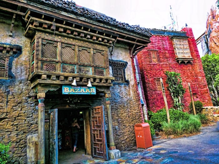 Disney's Animal Kingdom : présentation générale du parc