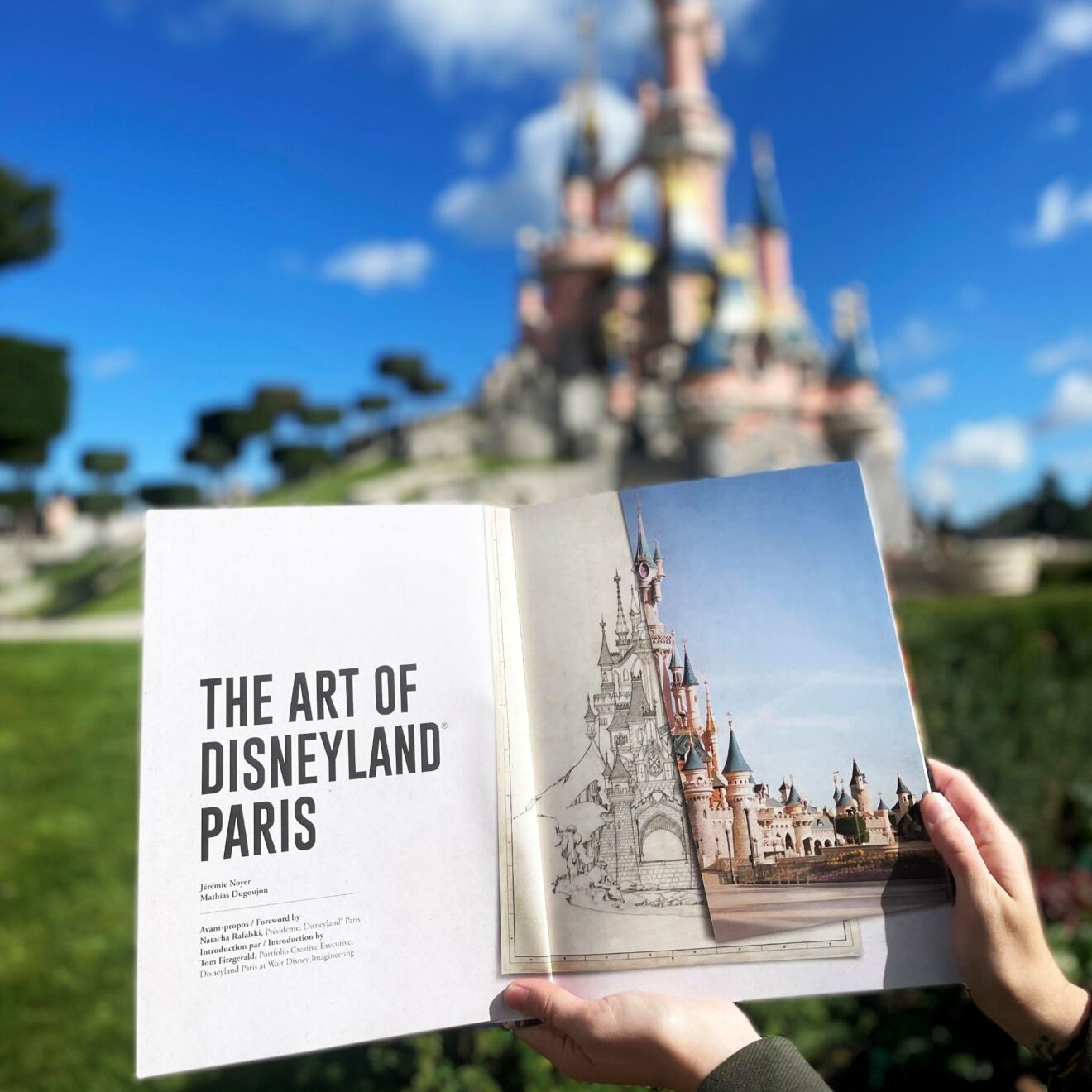 The Art Of Disneyland Paris : notre avis sur le livre collector